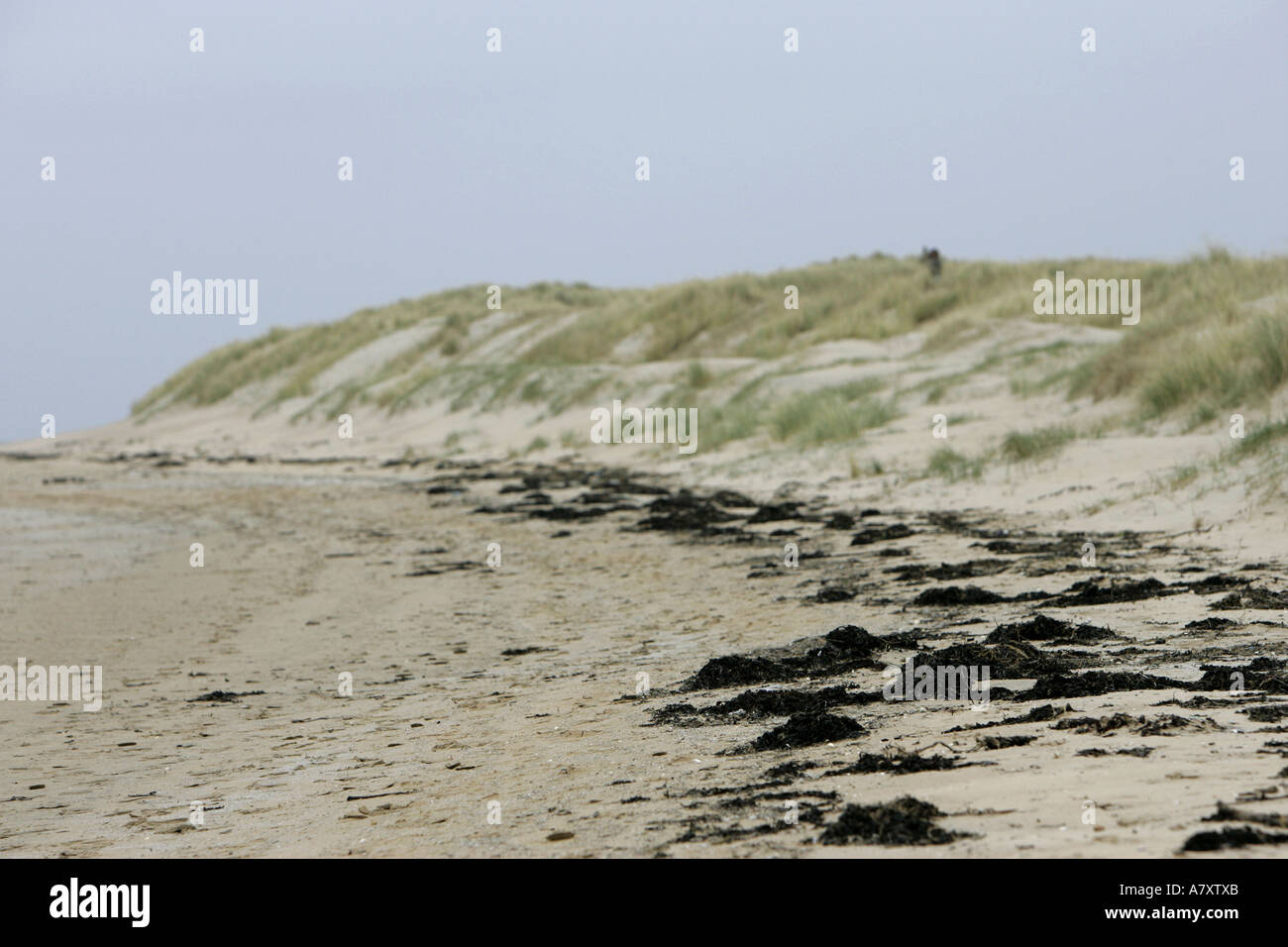 High water mark hi-res stock photography and images - Alamy