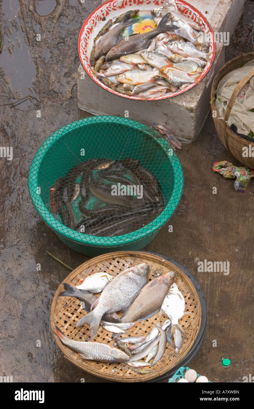 Thailand, Bangkok, fish market Stock Photo - Alamy