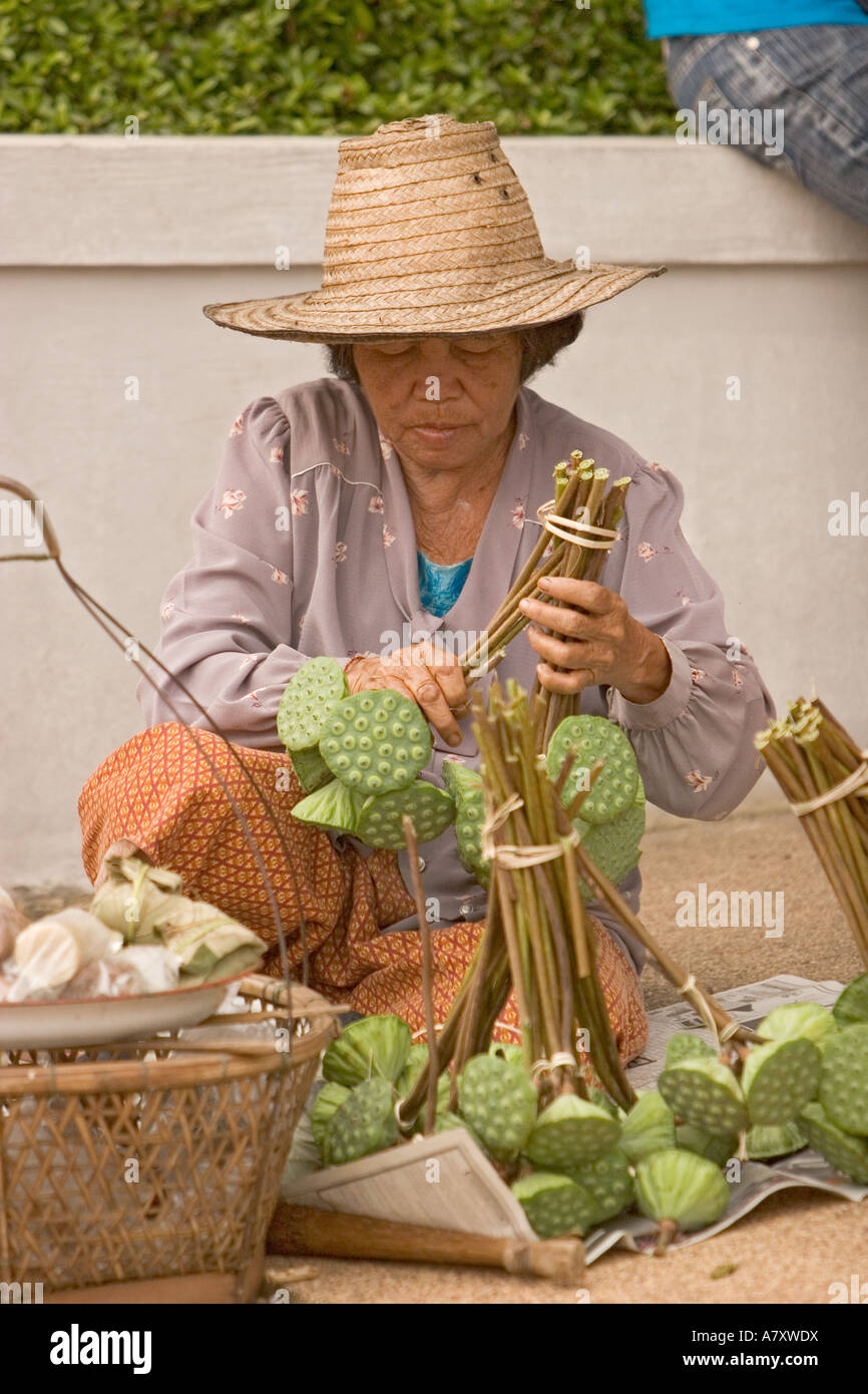 Thailand, Ubon Ratchatani, farmer selling lotus flower seeds Stock ...