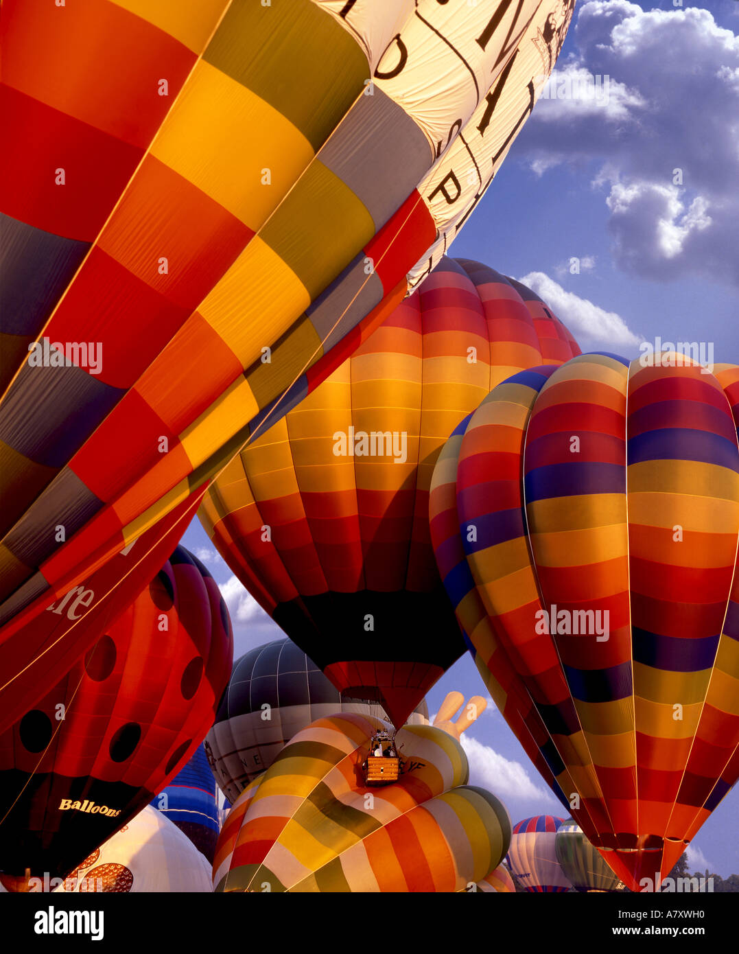Colourful large balloons floating in bright blue sky with five in view ...