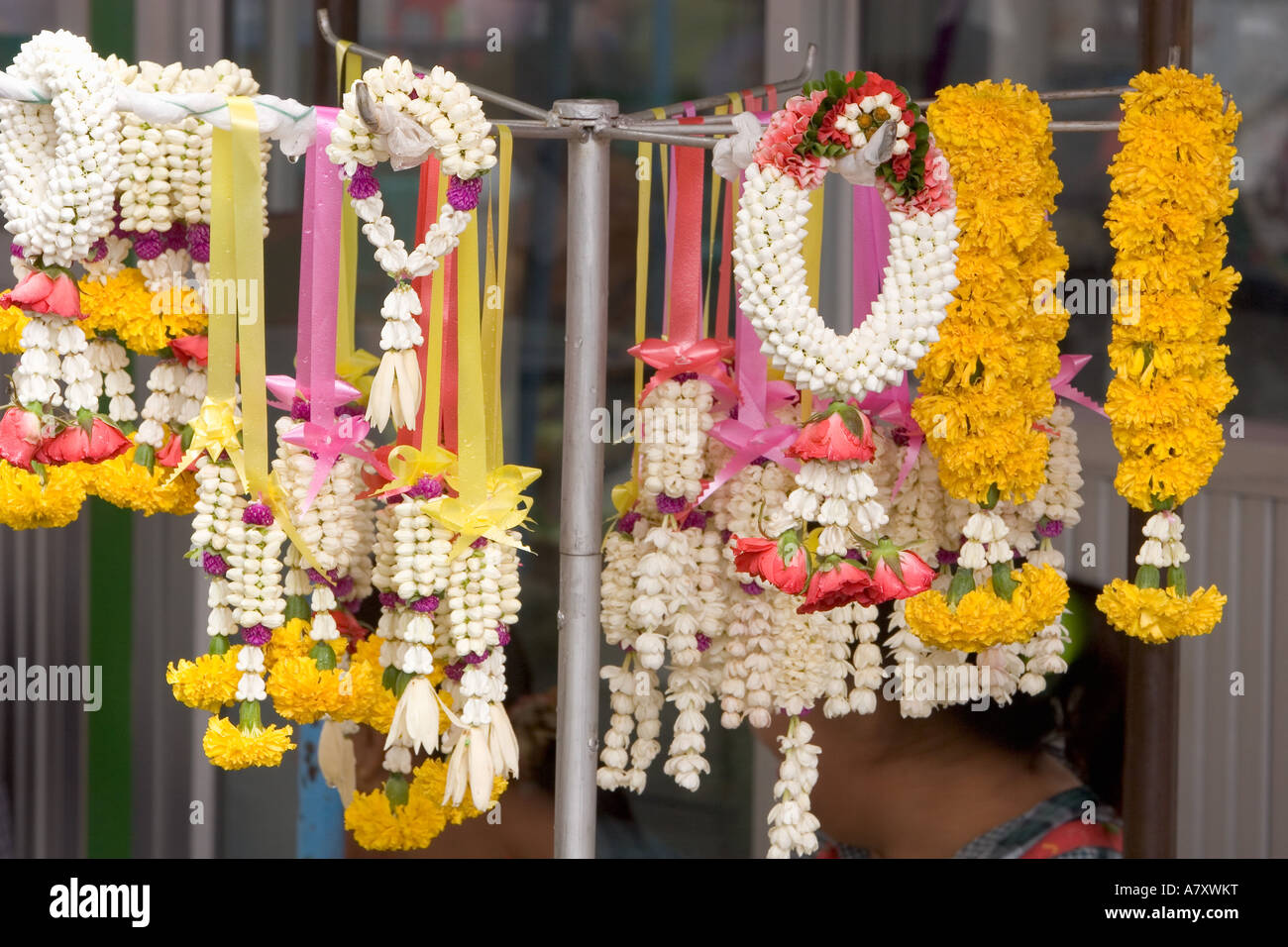 Thailand, Isan, Khon Kaen, Holly Flower Stock Photo - Alamy