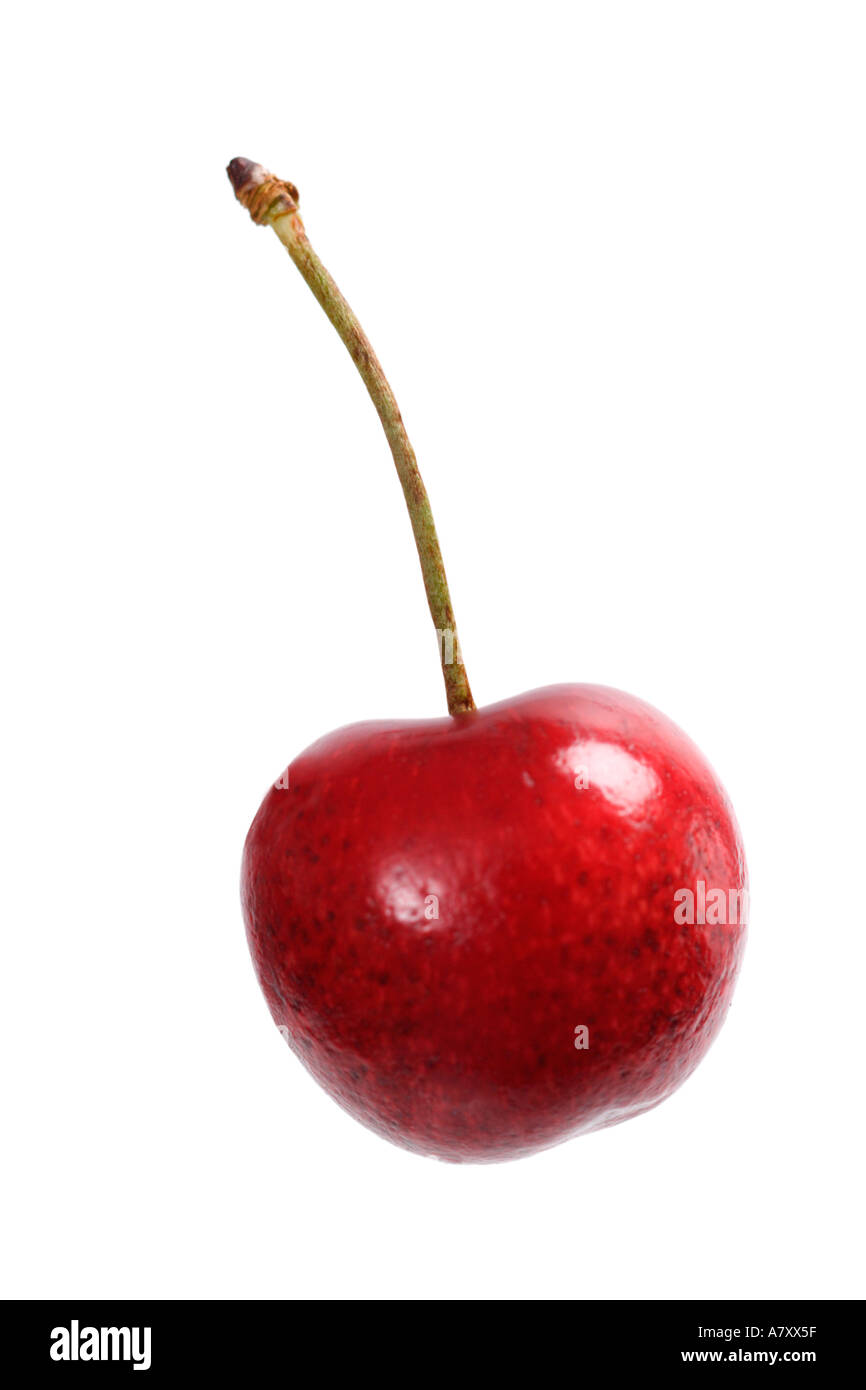Cherry outline hi-res stock photography and images - Alamy