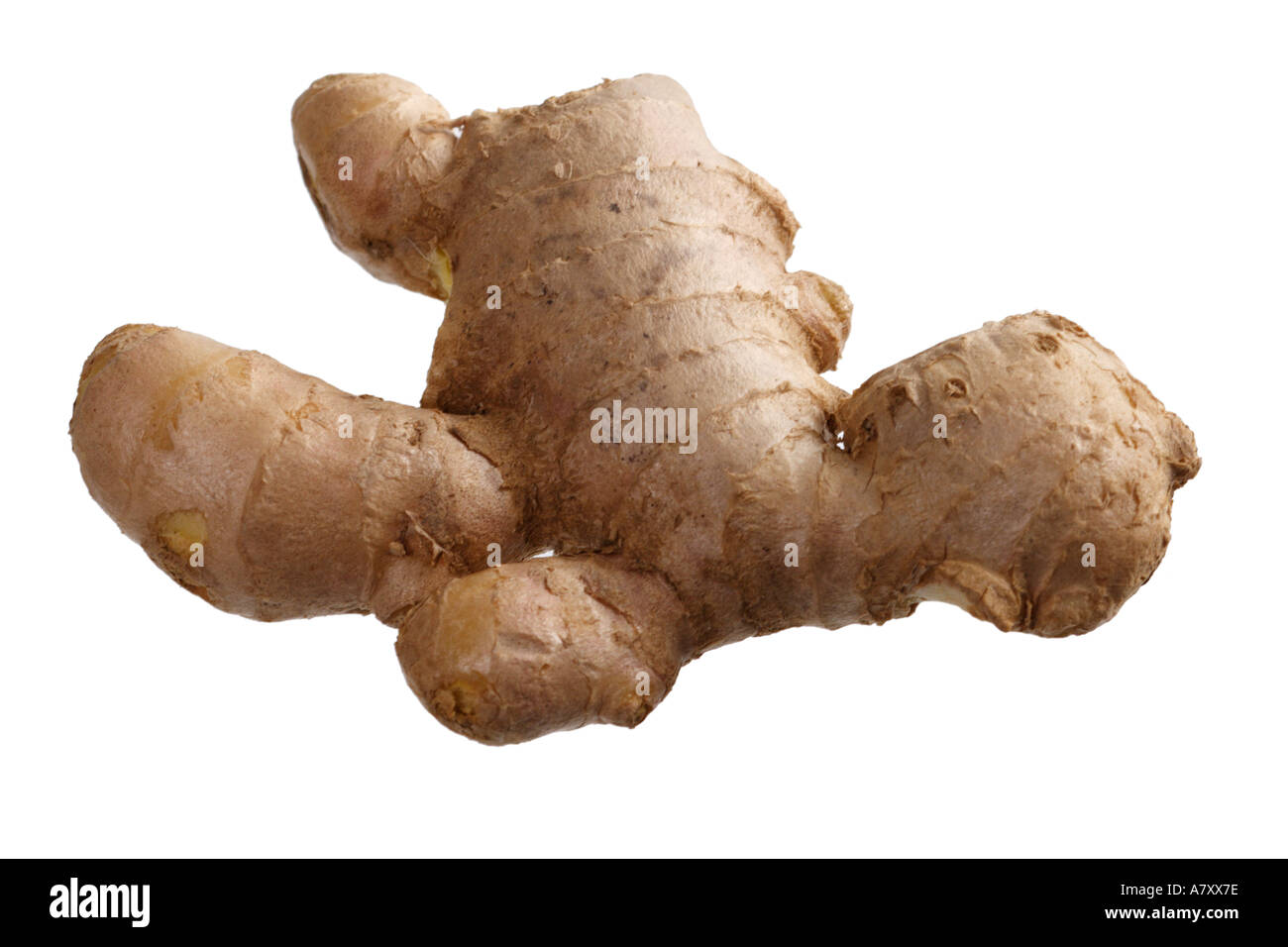 Only ginger root, spice hi-res stock photography and images - Alamy