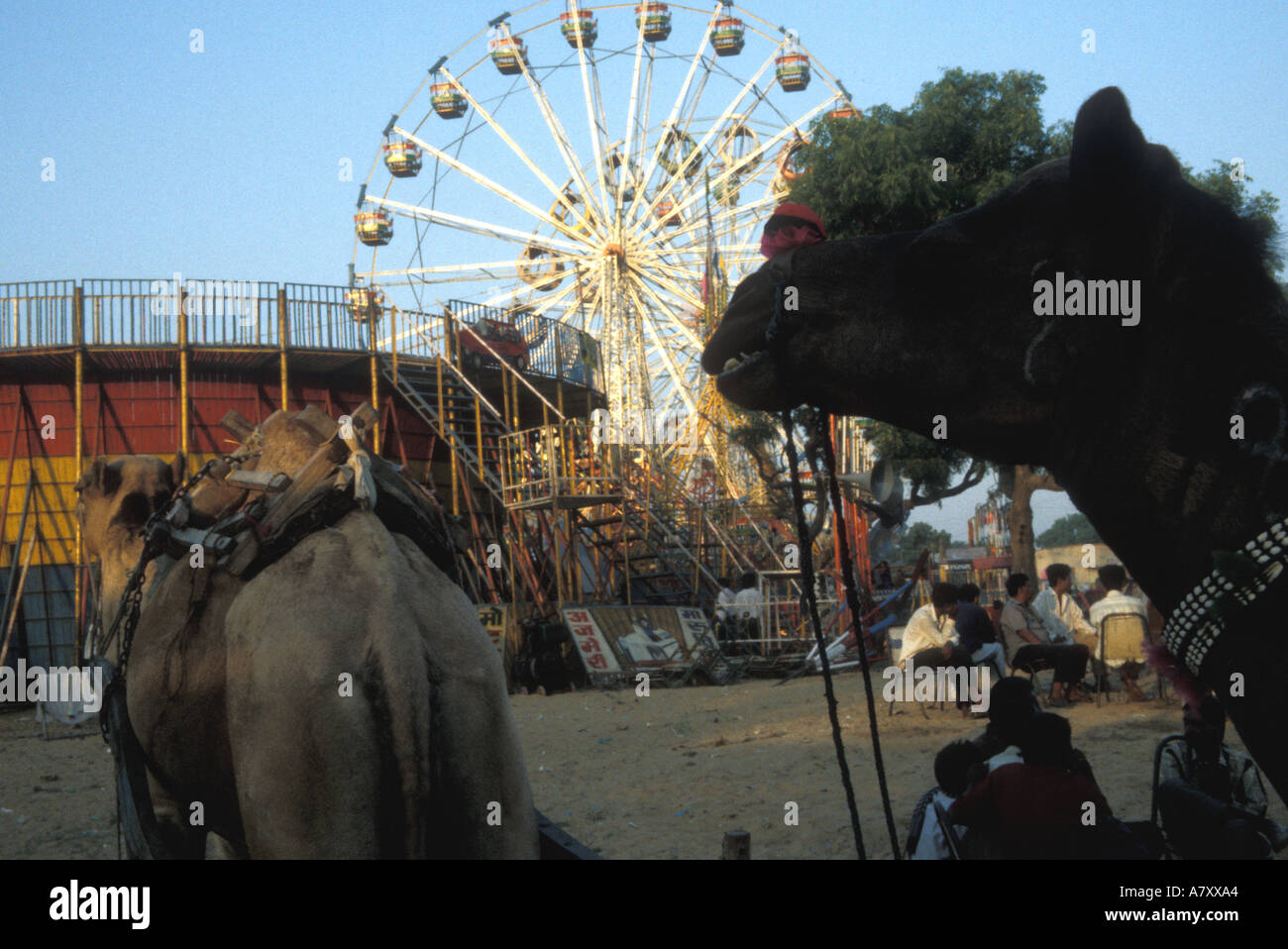 Fun fair at the Pushkar camel fair India Stock Photo - Alamy