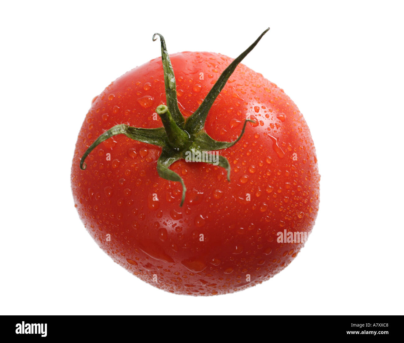 Tomato knockout hi-res stock photography and images - Alamy