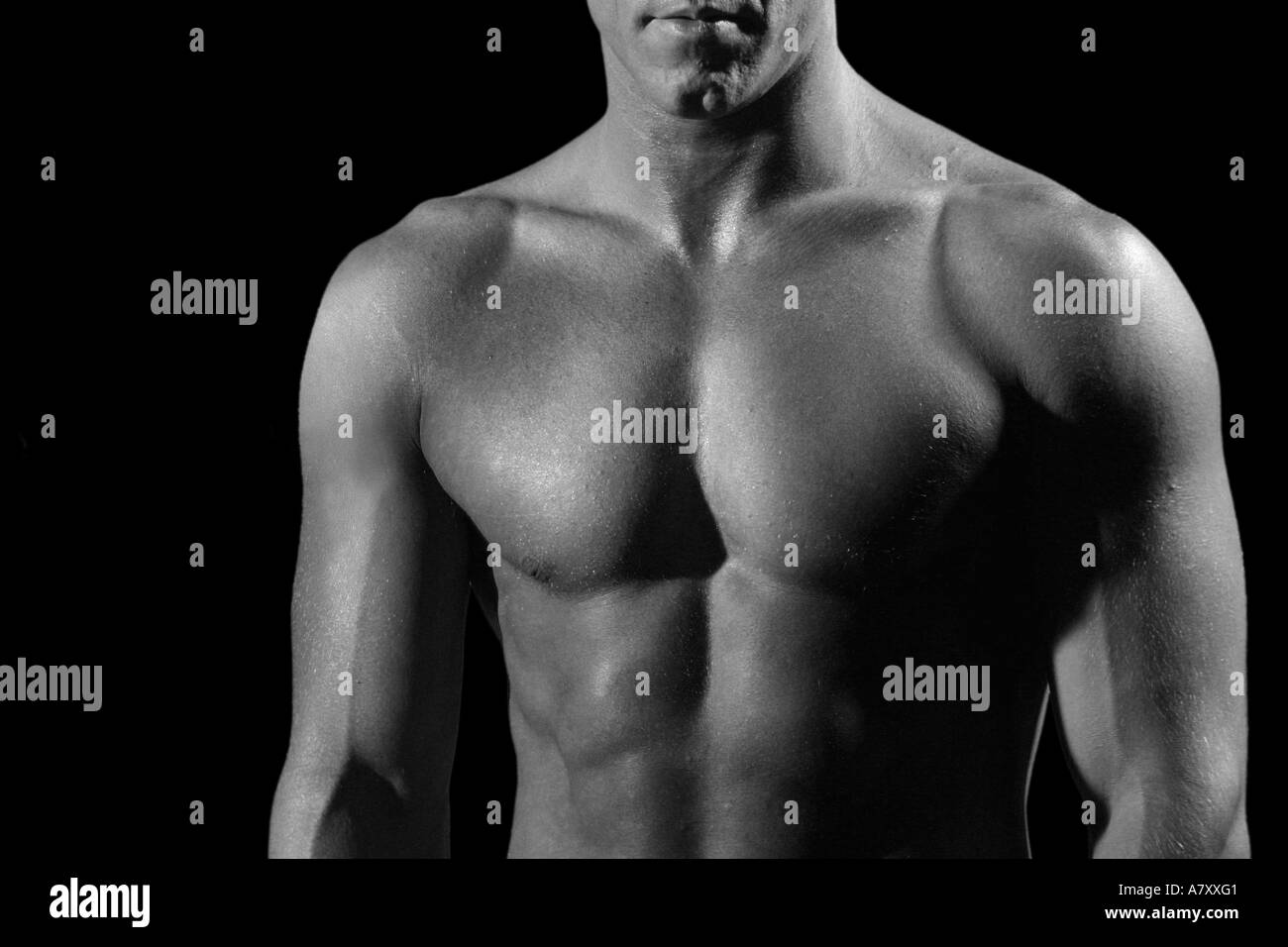 muscle figure physique strength back defined powerful body black studio ...