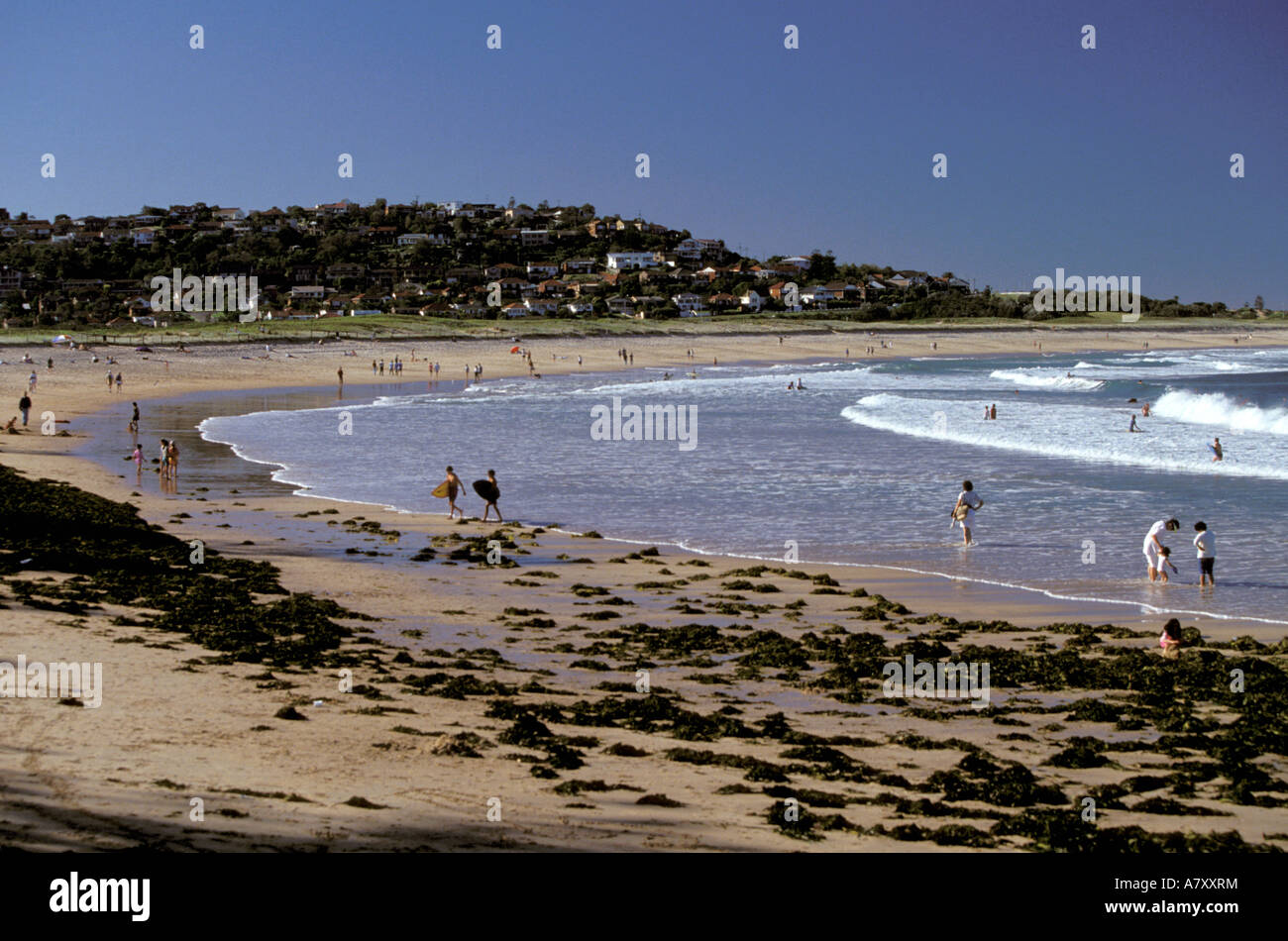 Dee why beach australia hi-res stock photography and images - Alamy