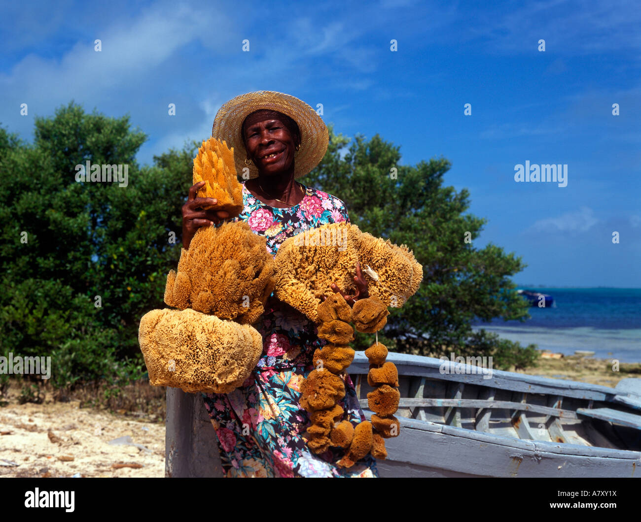 Andros island the bahamas hi-res stock photography and images - Alamy