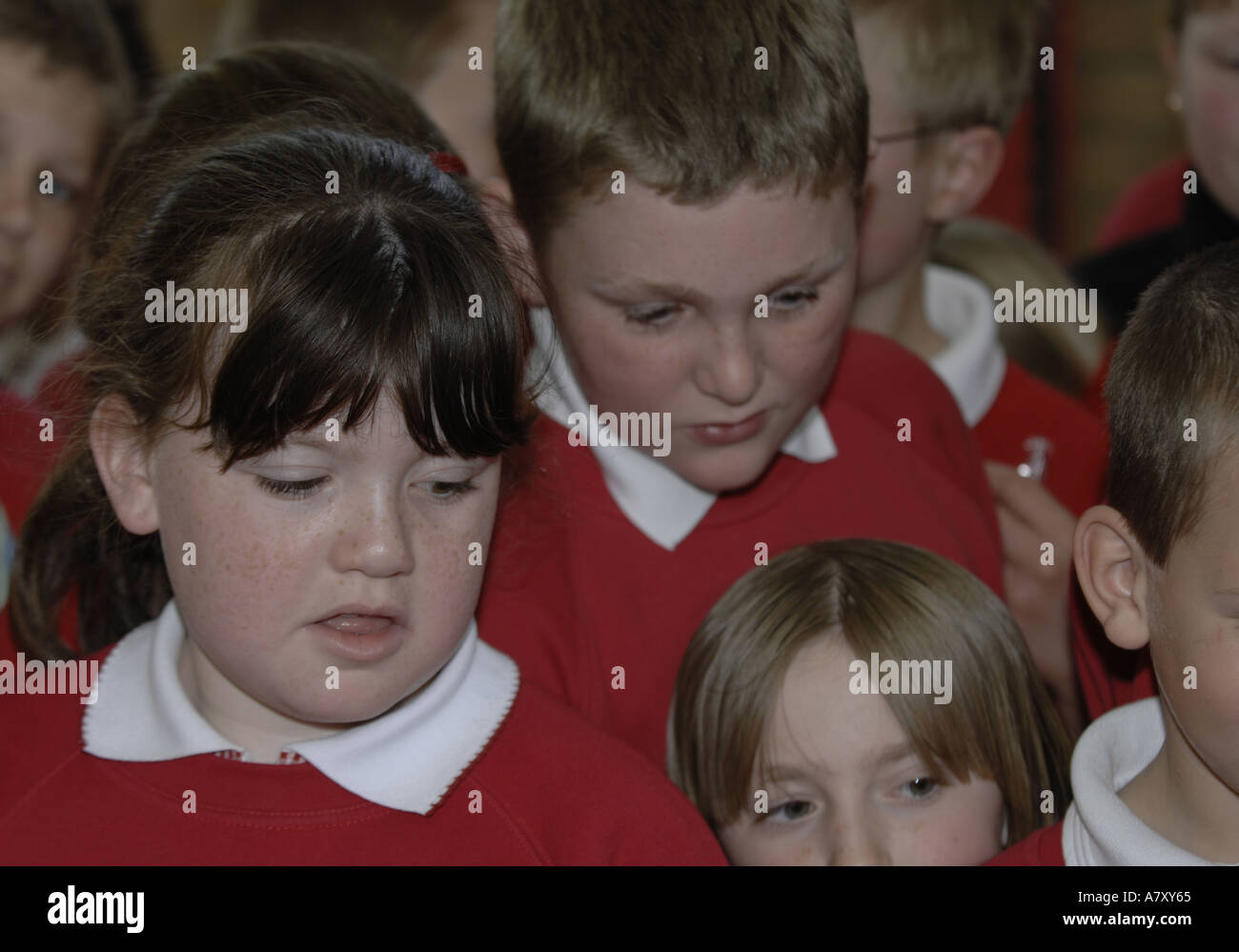 schoolchildren students pupils kids caucasian keystage two 2 red Stock ...