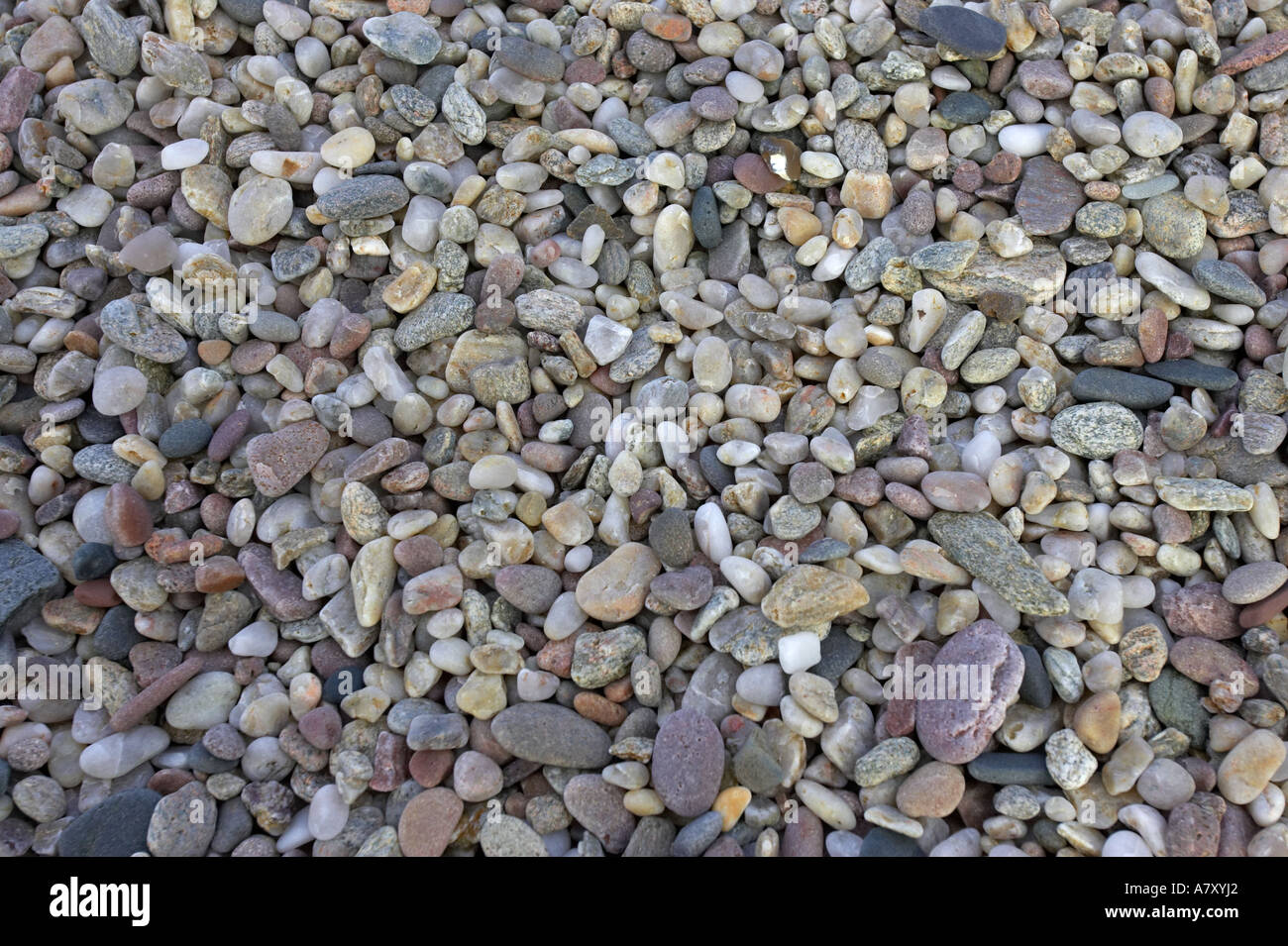 shingle pebbles beach Cushendall close up county Antrim Northern ...