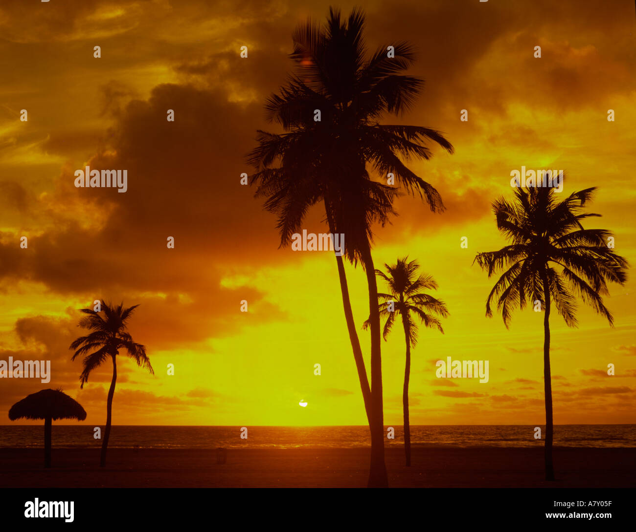 Miami beach sunset hi-res stock photography and images - Alamy