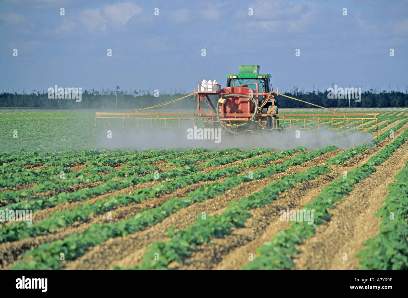USA, Florida, Homestead. Spray dithane on squash field Stock Photo - Alamy