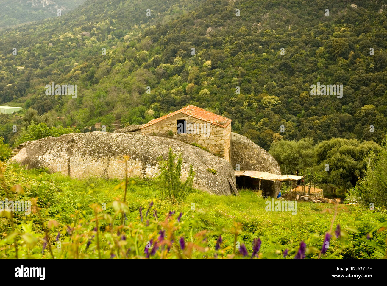 Europe, France, Corsica. Quaint House between the rocks just off road ...