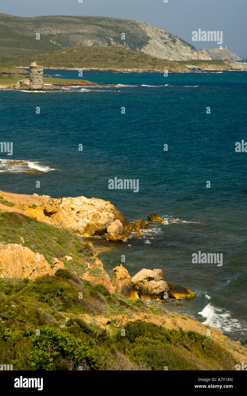 Europe, France, Corsica, Cap Corse. Genoese towers built in 16th ...
