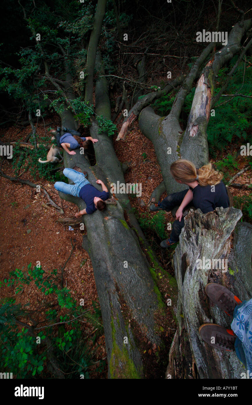 Germany, Hessen, young people on a hike Stock Photo - Alamy