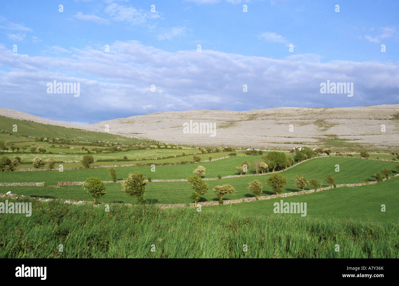 Europe, Ireland, County Clare, Ballyvaughan. The Burren Stock Photo - Alamy