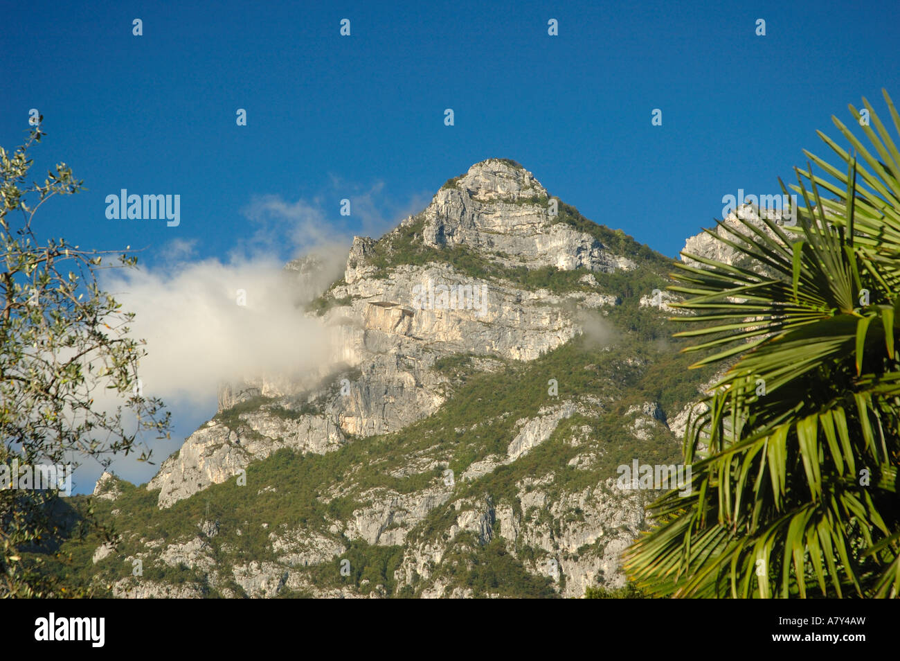 Italy, Riva del Garda, Mount Rocchetta Stock Photo - Alamy