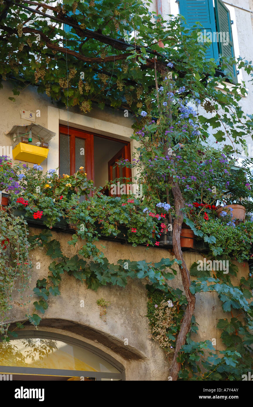 Italy, Malcesine, Lake Garda, grape arbor and flowers of private home ...