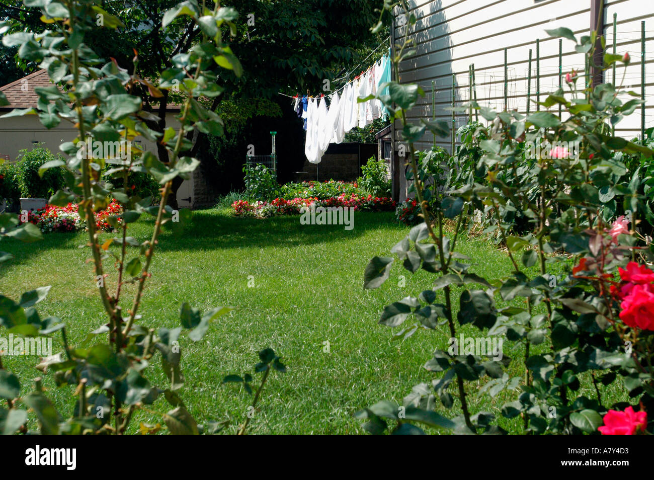 Backyard in the Wakefield neighborhood of the Bronx Stock Photo - Alamy