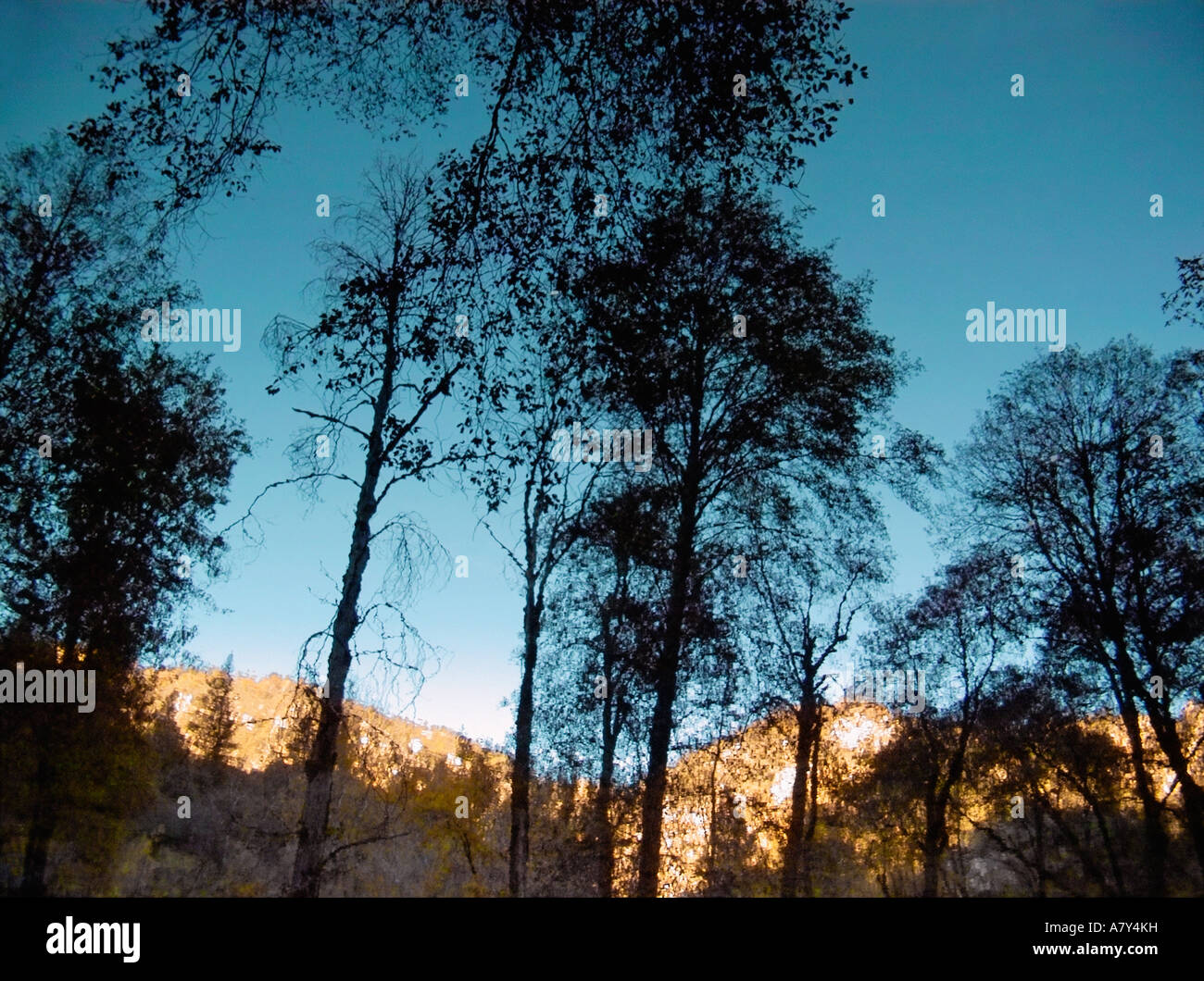 Water reflection, Oak Creek canyon, Arizona Stock Photo - Alamy