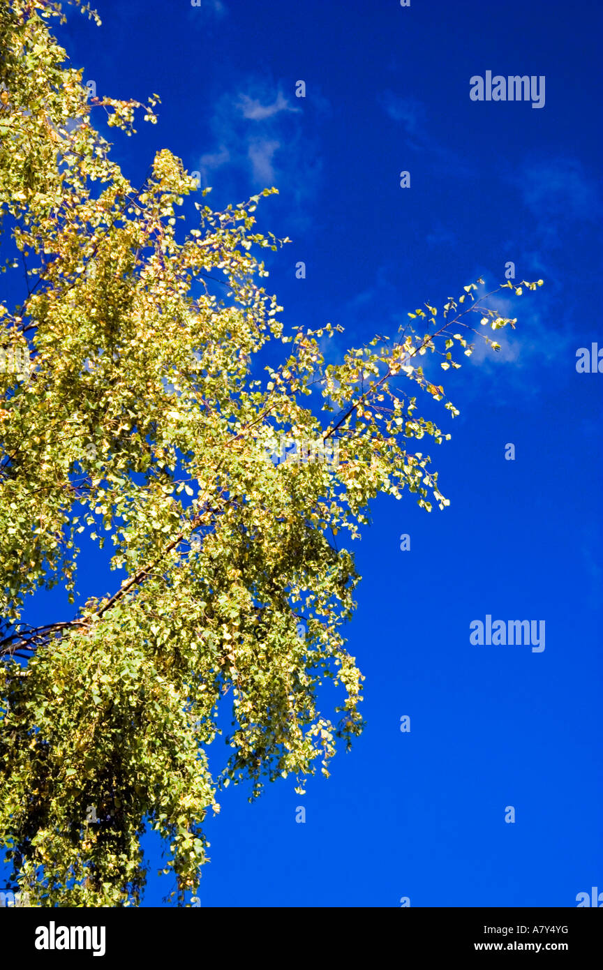 Left side of frame hi-res stock photography and images - Alamy