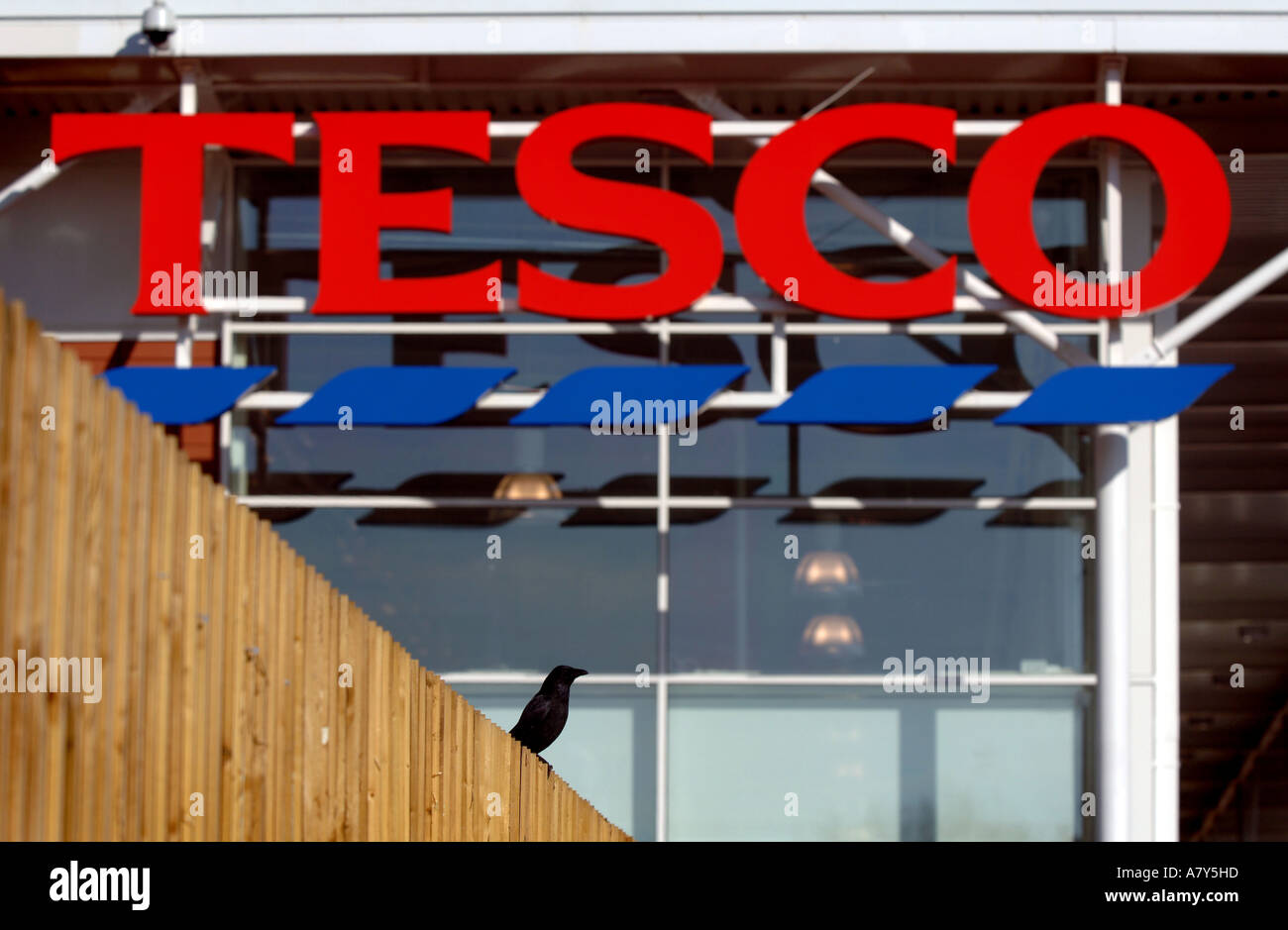 Bird on a supermarket trolley hi-res stock photography and images - Alamy