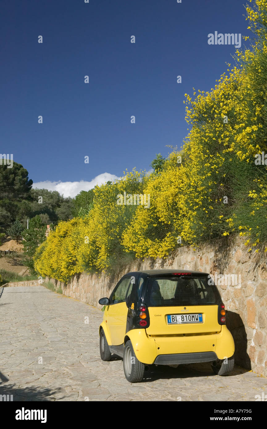 Italy, Sicily, Villa Imperiale del Casale, Smart Car with yellow ...