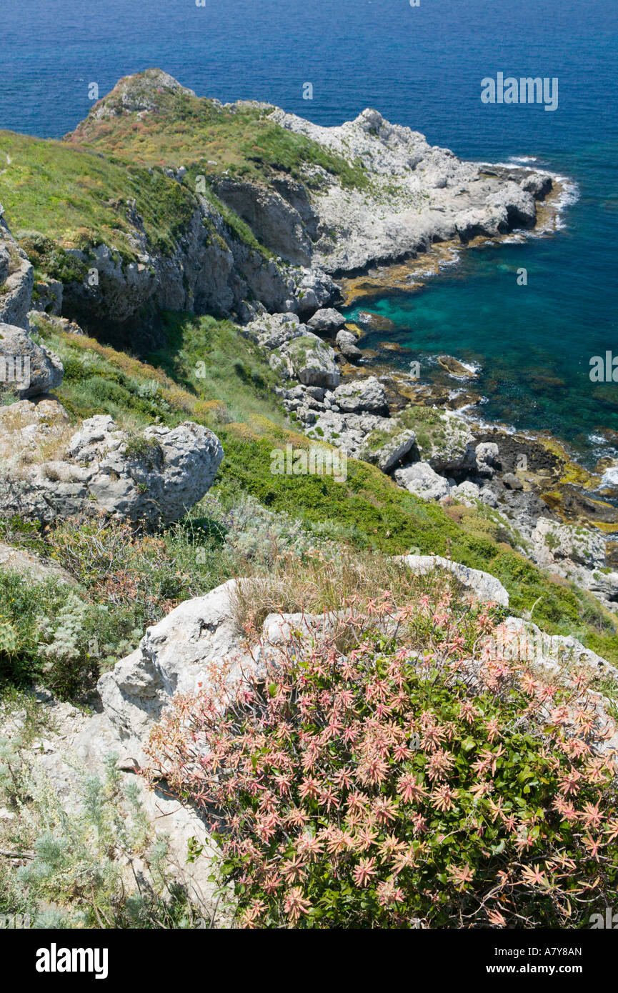 Italy, Sicily, Milazzo, Capo di Milazzo, Cape landscape Stock Photo - Alamy