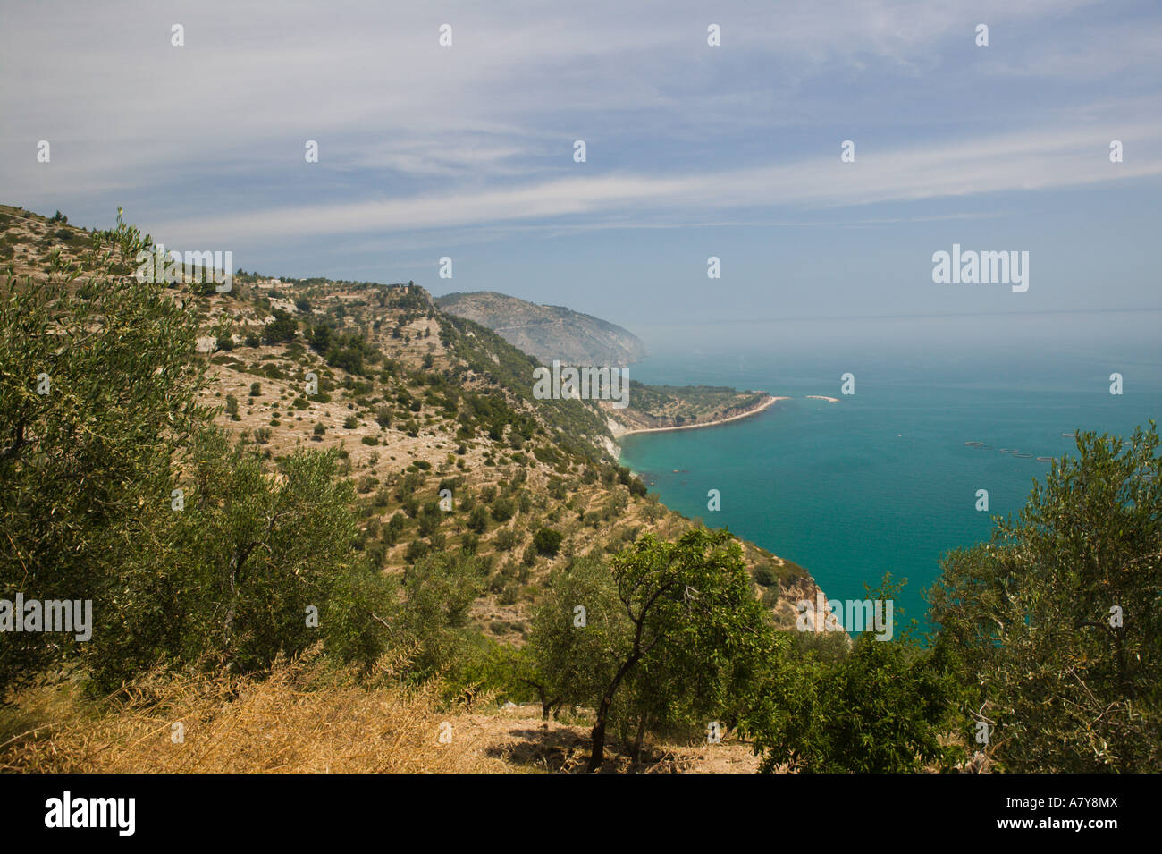Italy, Puglia, Promontorio del Gargano, Baia Della Zagare, Bay Overview ...