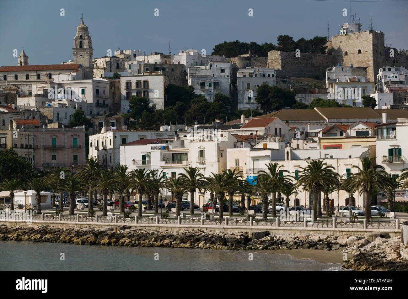 Italy, Puglia, Promontorio del Gargano, Vieste, Town View from Harbor ...
