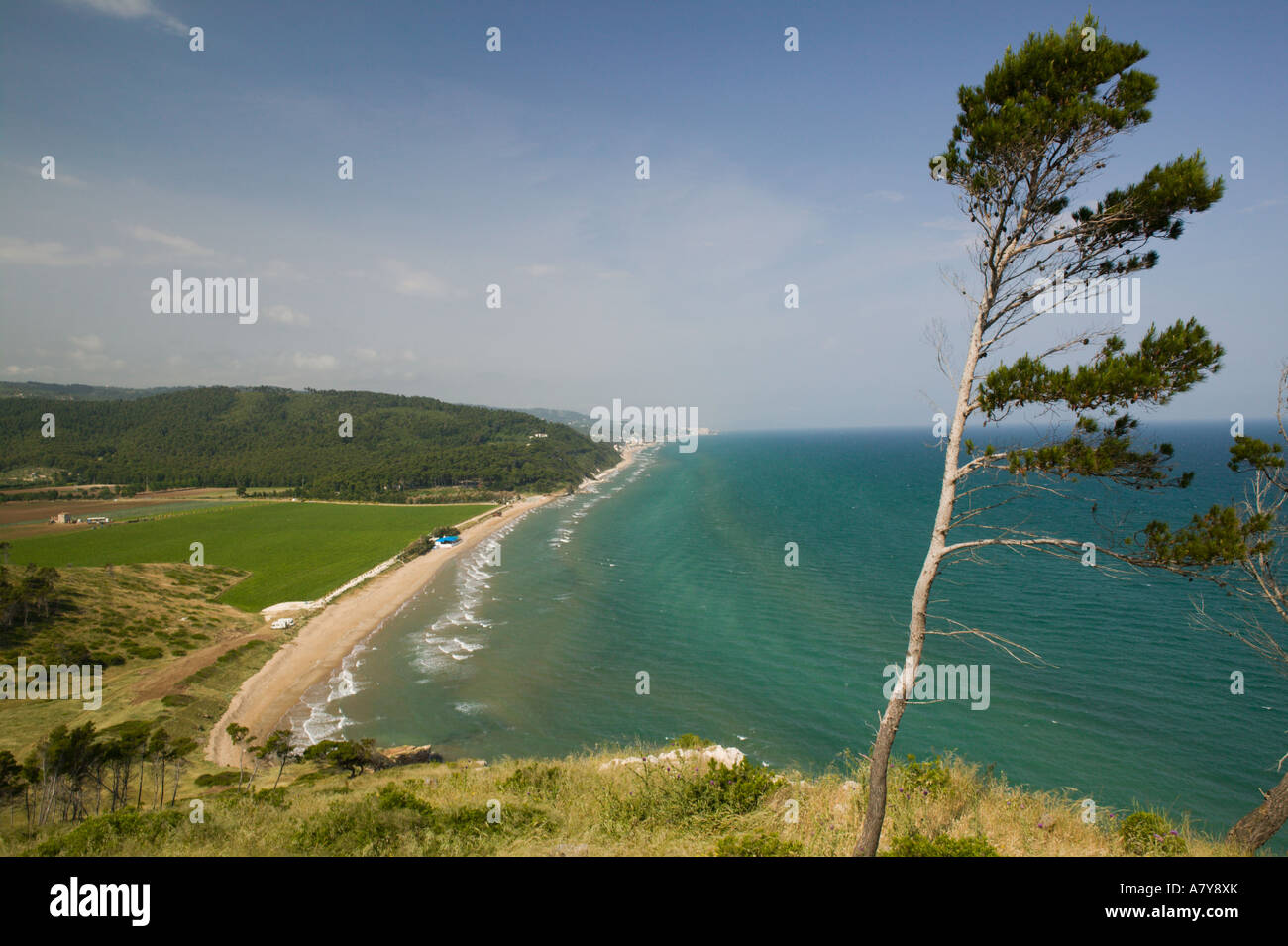 Parco nazionale del gargano hi-res stock photography and images - Alamy