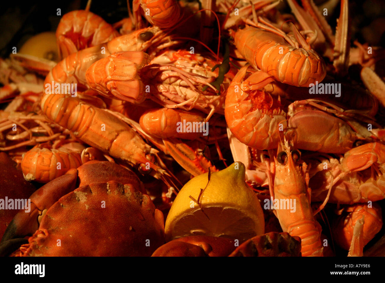 Langoustine on display hi-res stock photography and images - Alamy