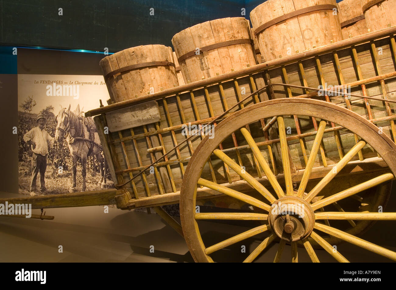 Display at the Museo de la Cultura del Vino (Wine Culture Museum) in ...