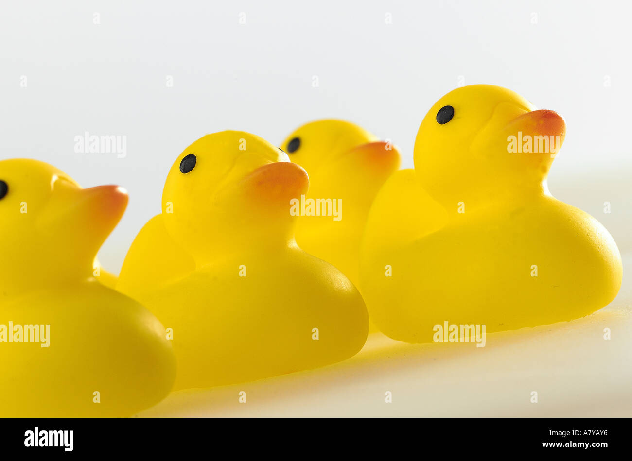 Playfull yellow hi-res stock photography and images - Alamy