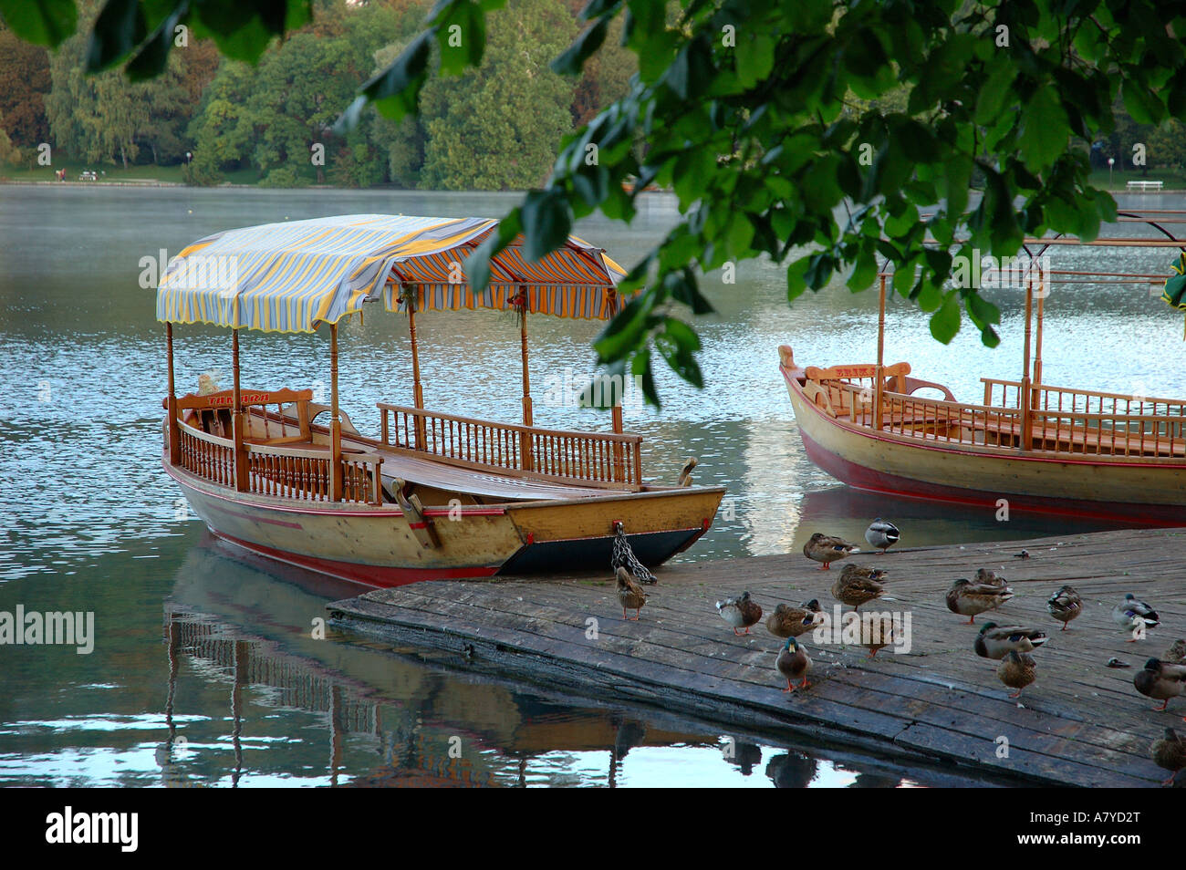 Slovenia, Bled, Lake Bled, pletna boats Stock Photo - Alamy