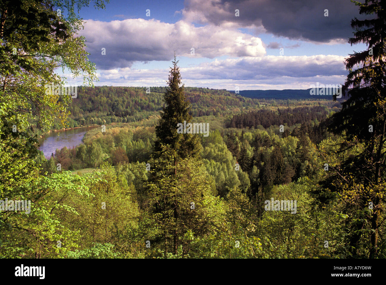Ancient valley of Gauja River in the Guaja National Park from Painter's ...