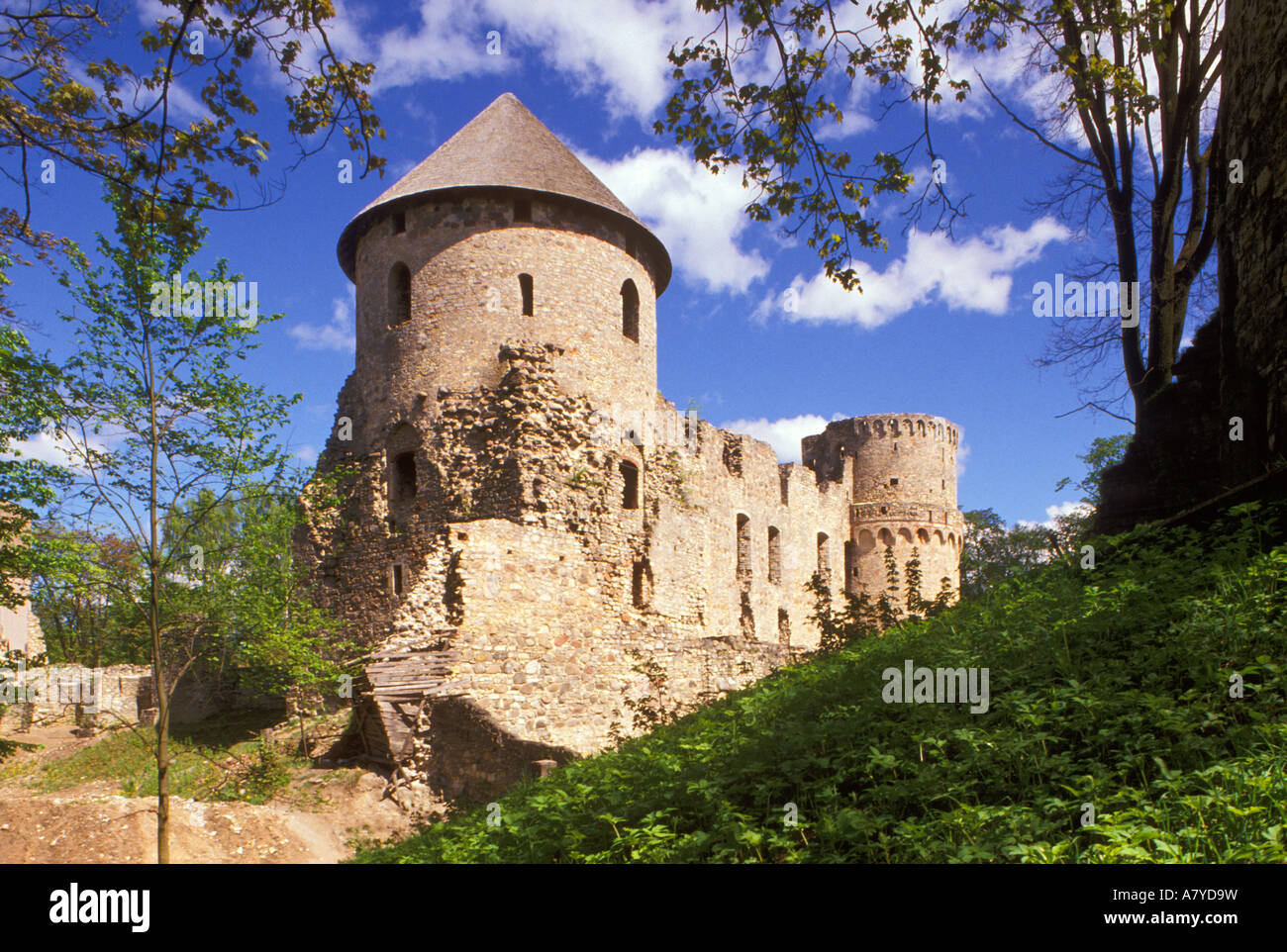 Cesis Castle in central Latvia Stock Photo - Alamy