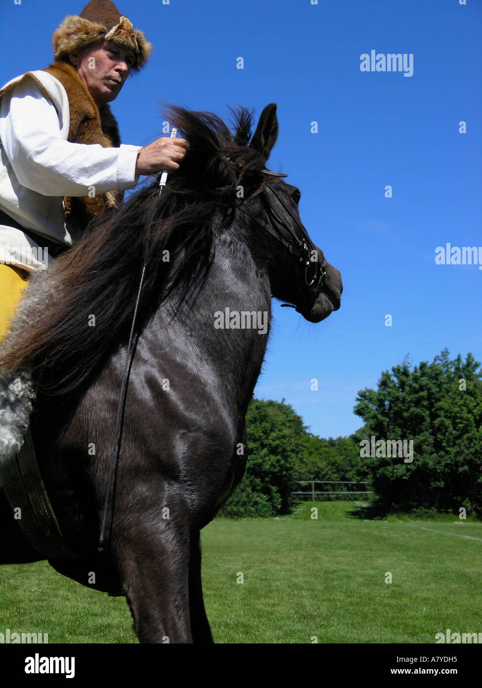 Viking riding show on Icelandic horses Jutland Denmark Stock Photo - Alamy