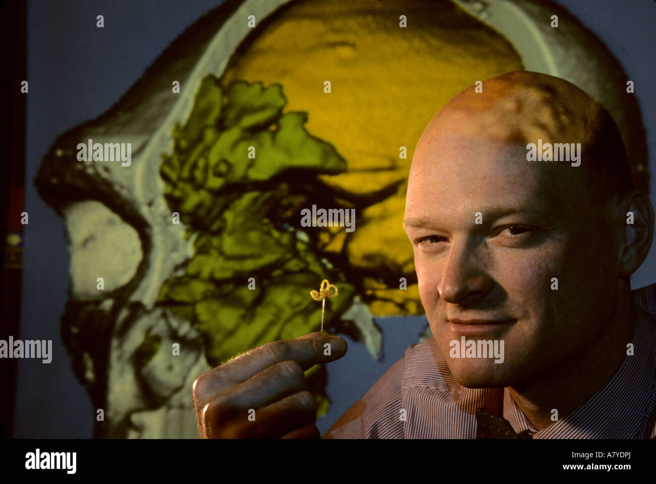 Fred Spoor, Anatomy Professor Stock Photo - Alamy