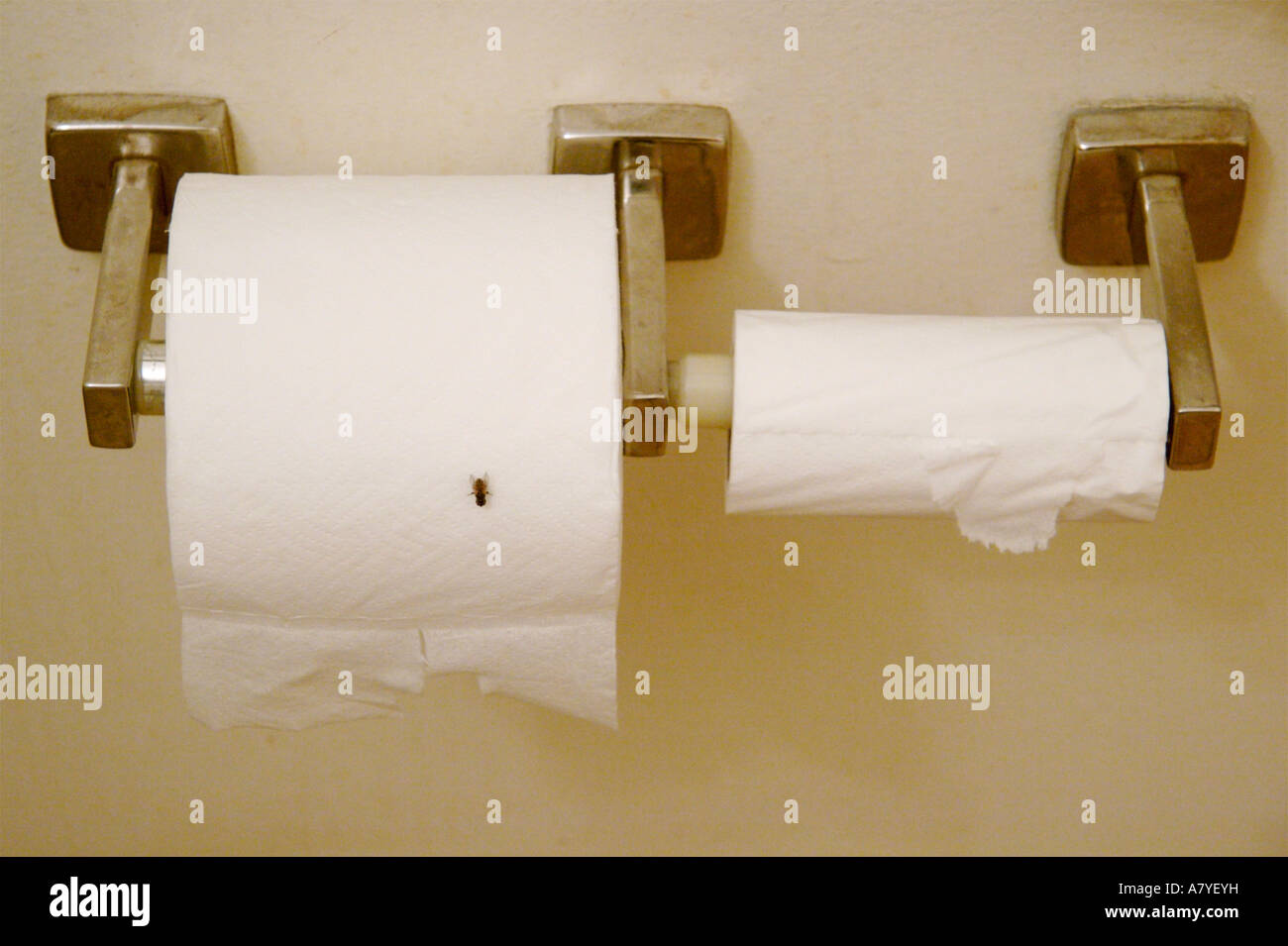 Paper fly hi-res stock photography and images - Alamy