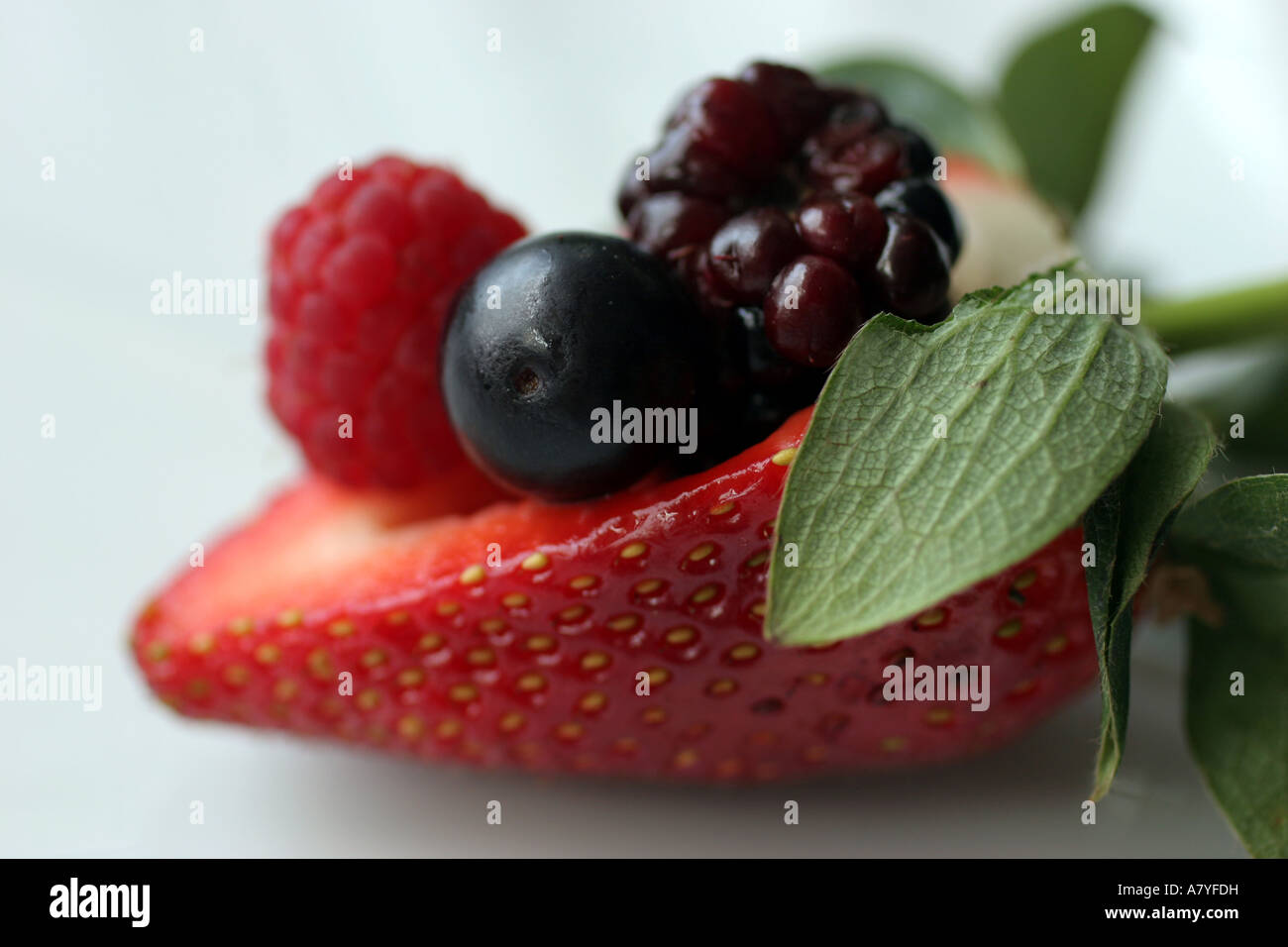 Close-up of a raspberry, blueberry and blackberry tucked into a ...