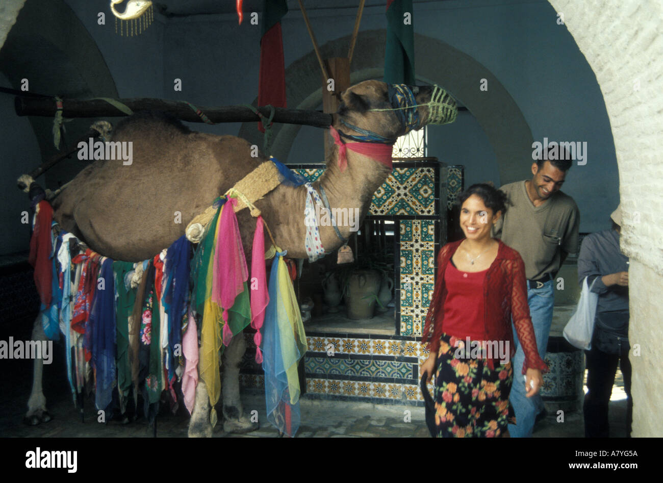A camel at Bir Barouta drawing water from the well Stock Photo - Alamy