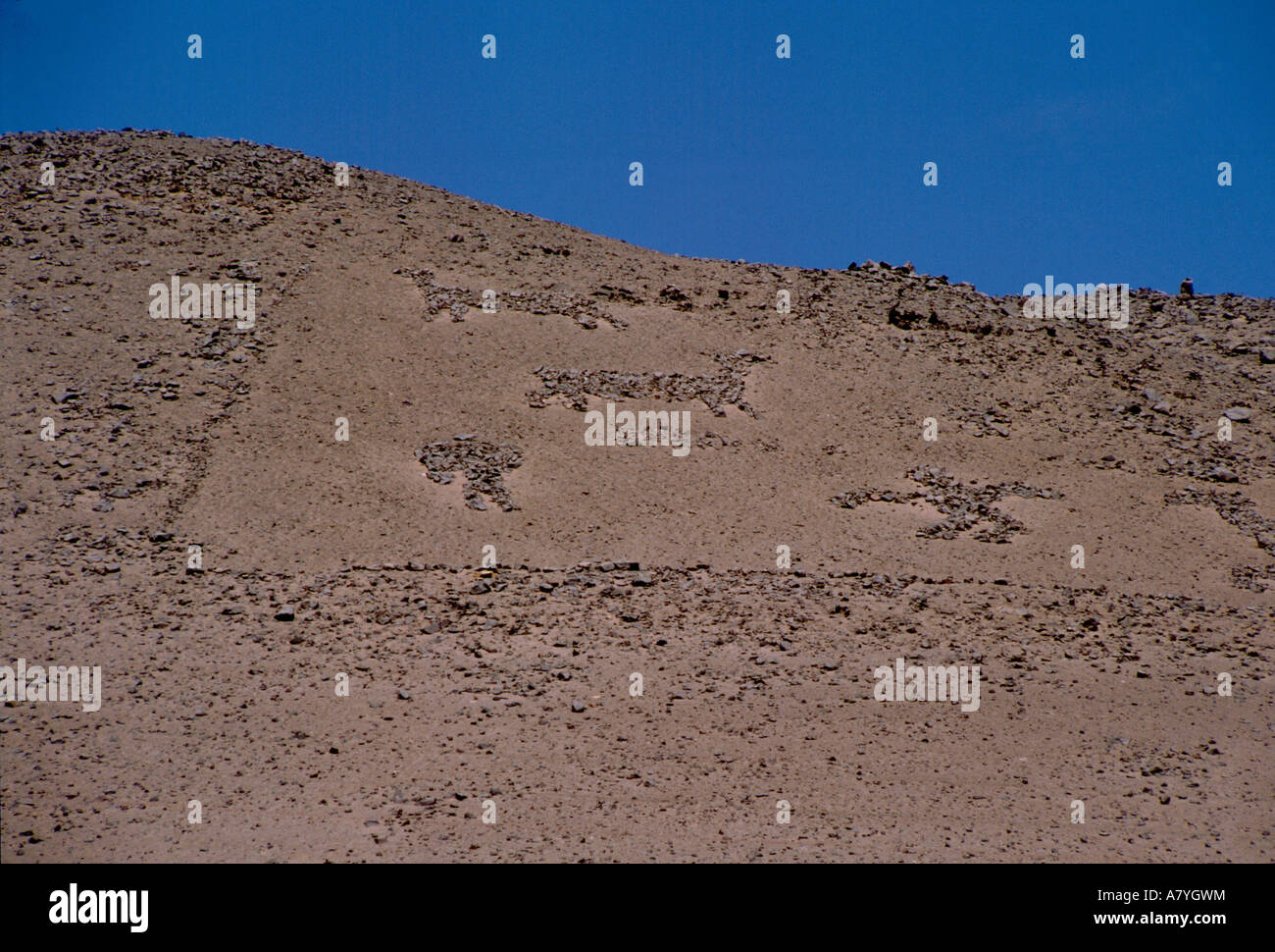 South America, Chile, Arica. Atacama Desert, one of the driest places ...