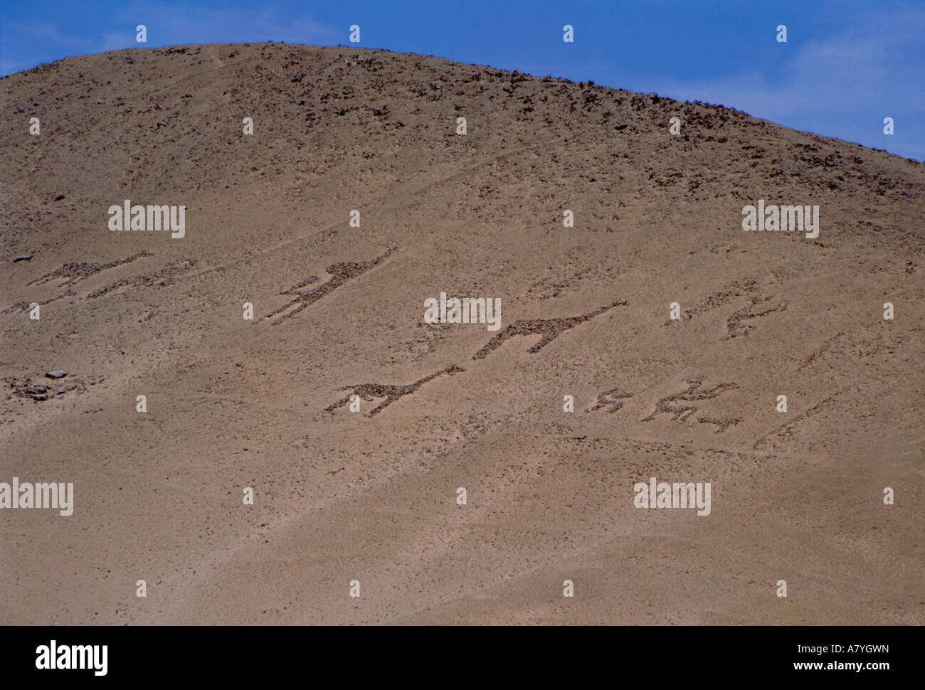 South America, Chile, Arica. Atacama Desert, one of the driest places ...