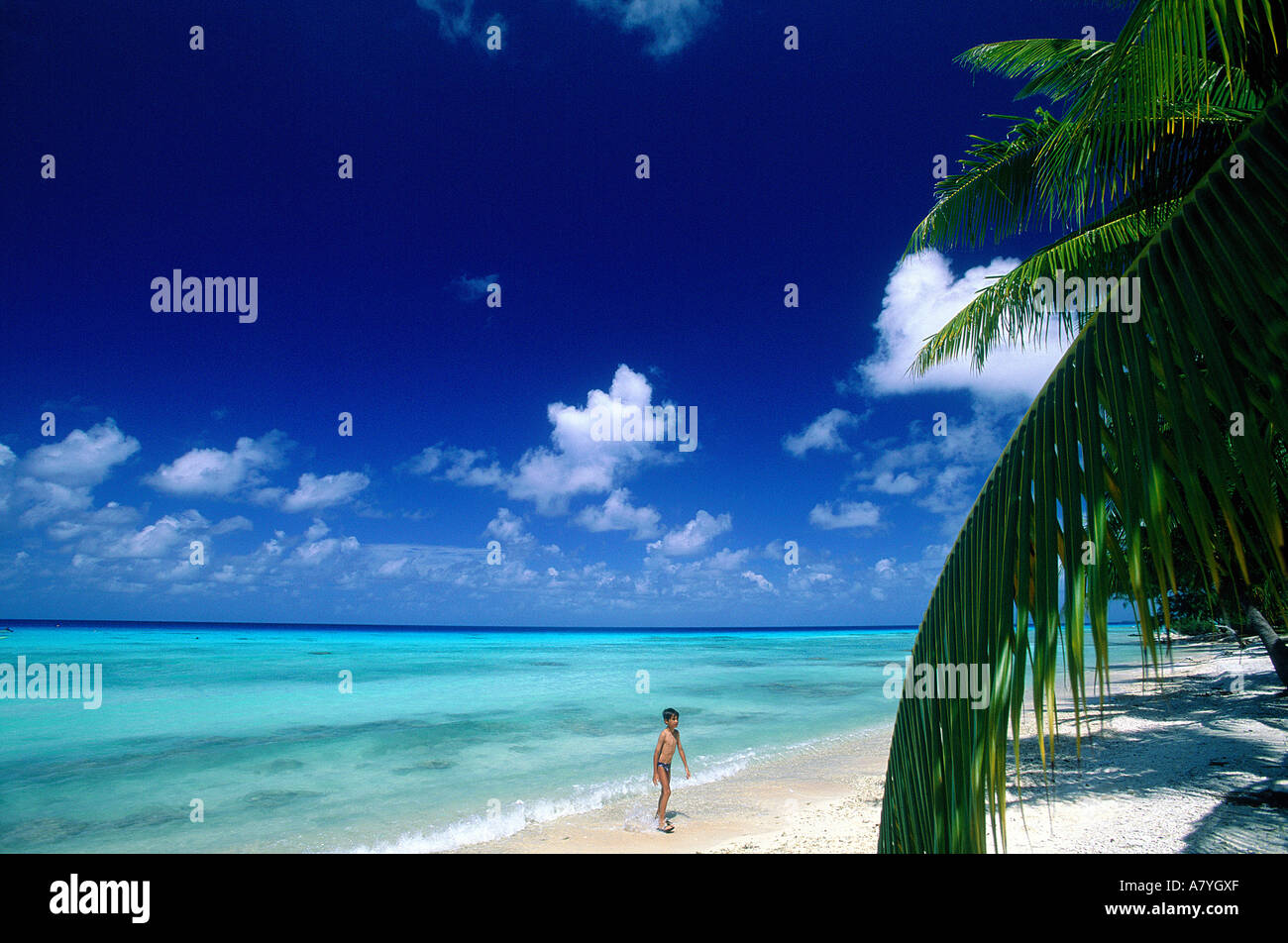 France, French Polynesia, atoll of Rangiroa, lagoon and beach, young ...
