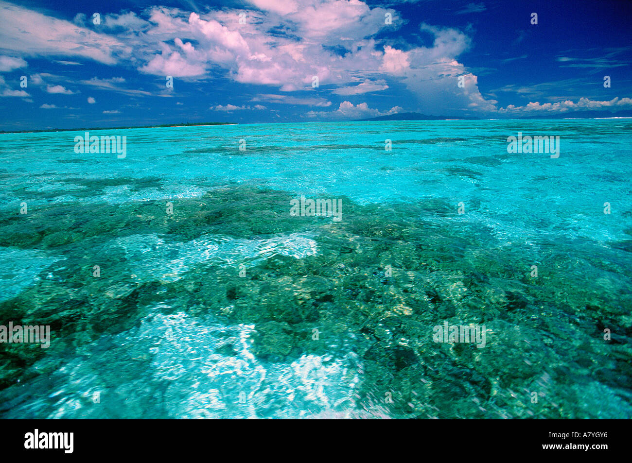 France, French Polynesia, Tuamotu archipelago, atoll of Rangiroa Stock ...
