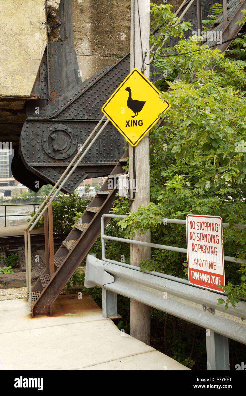 Goose crossing sign near the Chicago River Stock Photo - Alamy