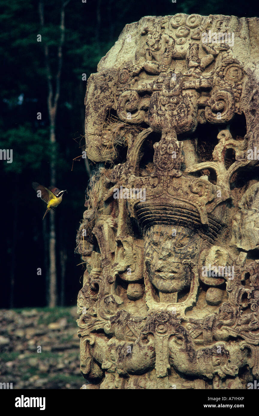 Copan, 18 Rabbit, Stele, Honduras, Maya Stock Photo - Alamy