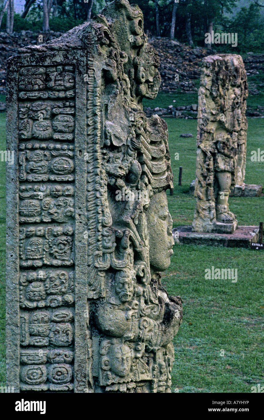 Maya, Copan, Honduras, Stellae Stock Photo - Alamy
