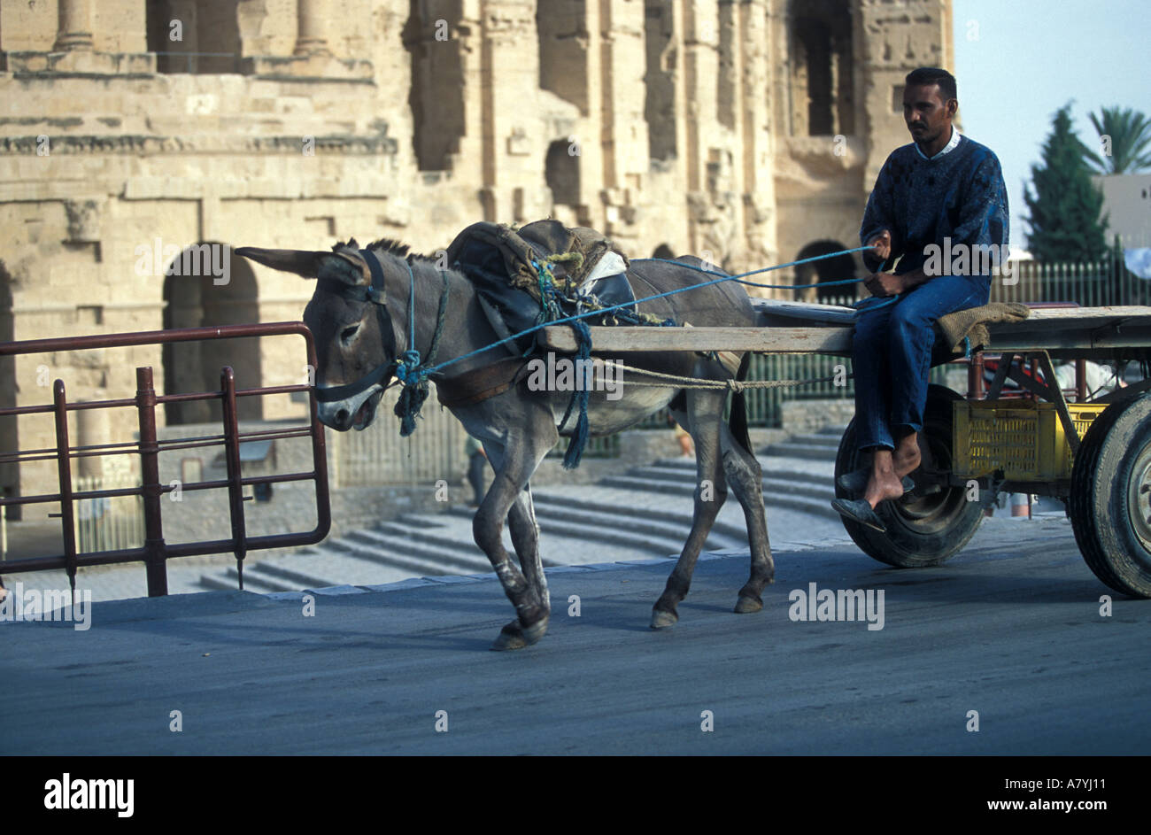 A man on a donkey and cart outside of the El Jem Amphitheatre Tunisia ...
